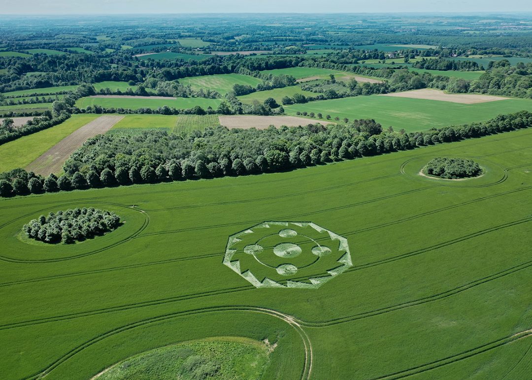 Crop Circle Photo Set 2022 Temporary Temples